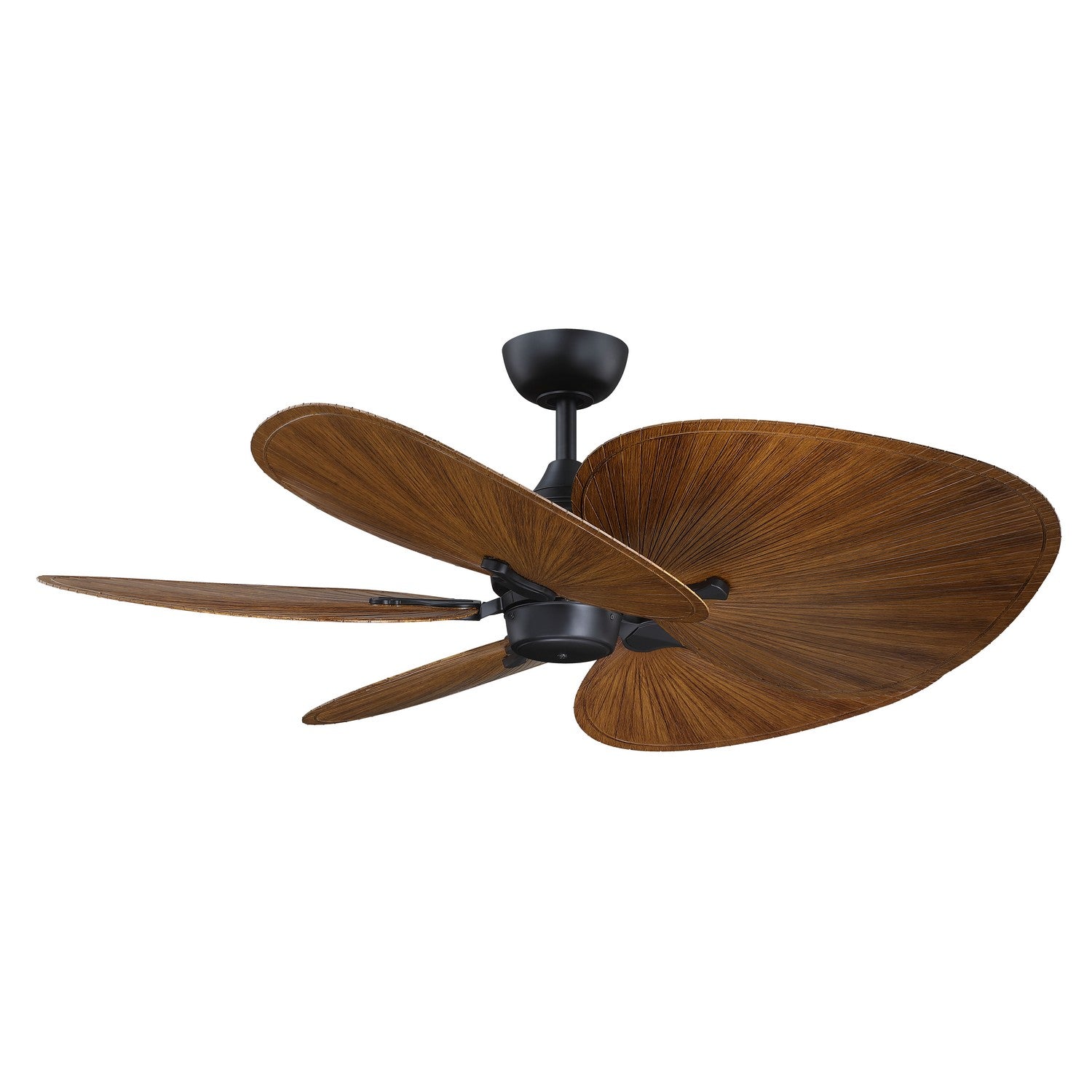 Islander DC Ceiling Fan | Fanimation – Cleveland Lighting