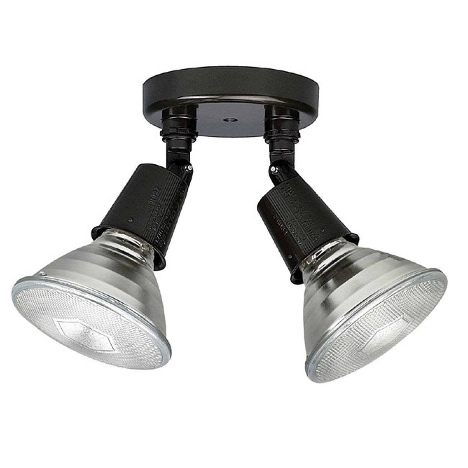 2-Lamp Outdoor Floodlight | Capital Lighting – Cleveland Lighting