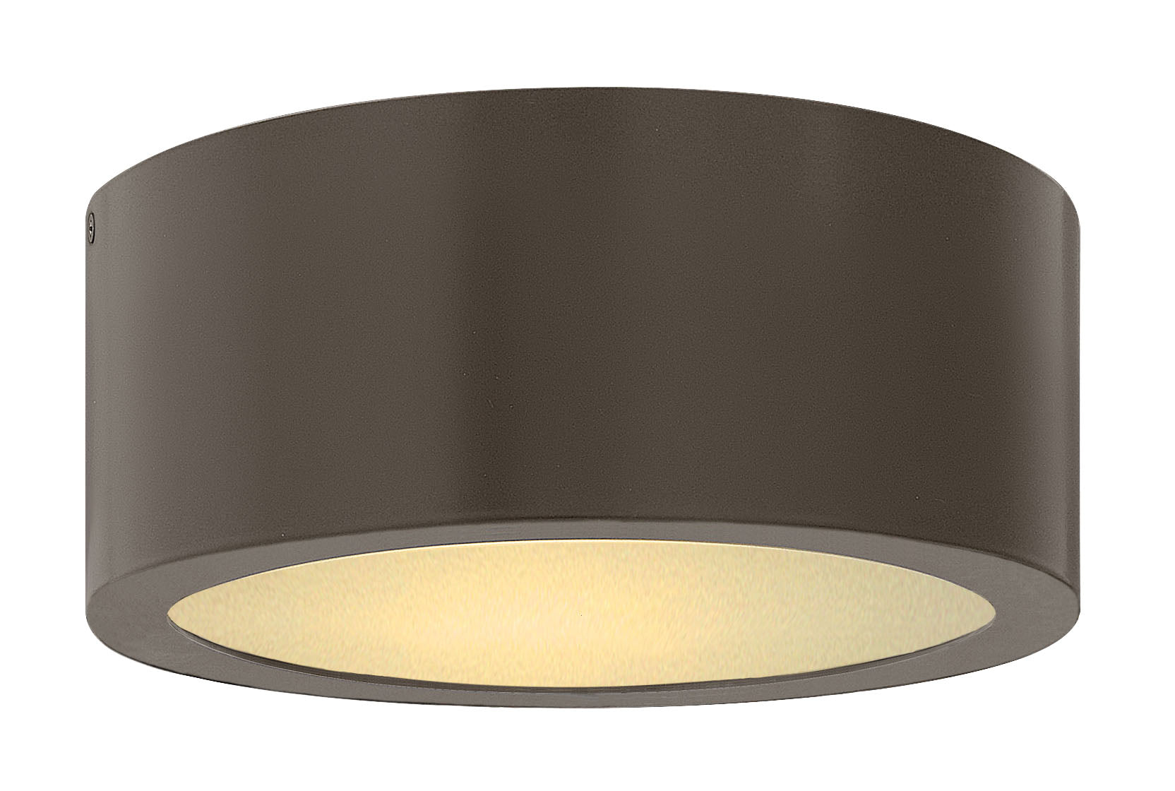 Luna LED Outdoor Ceiling Light Fixture - 1665BZ by Hinkley from ...