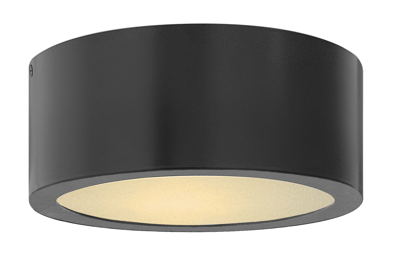 Luna LED Outdoor Ceiling Light Fixture - 1665BZ by Hinkley from ...