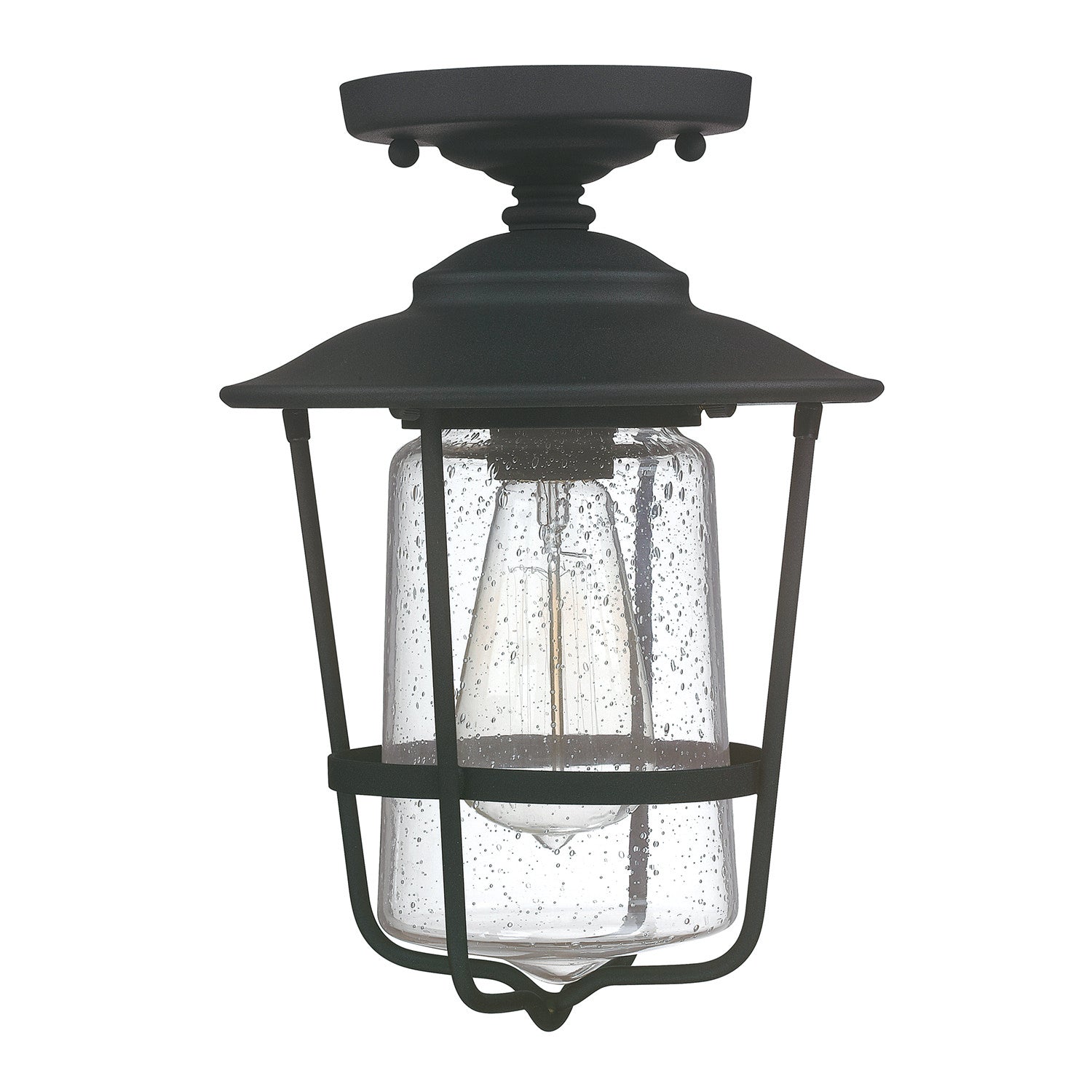 Creekside Seeded Glass Outdoor Ceiling Mount - 9607BK by Capital ...