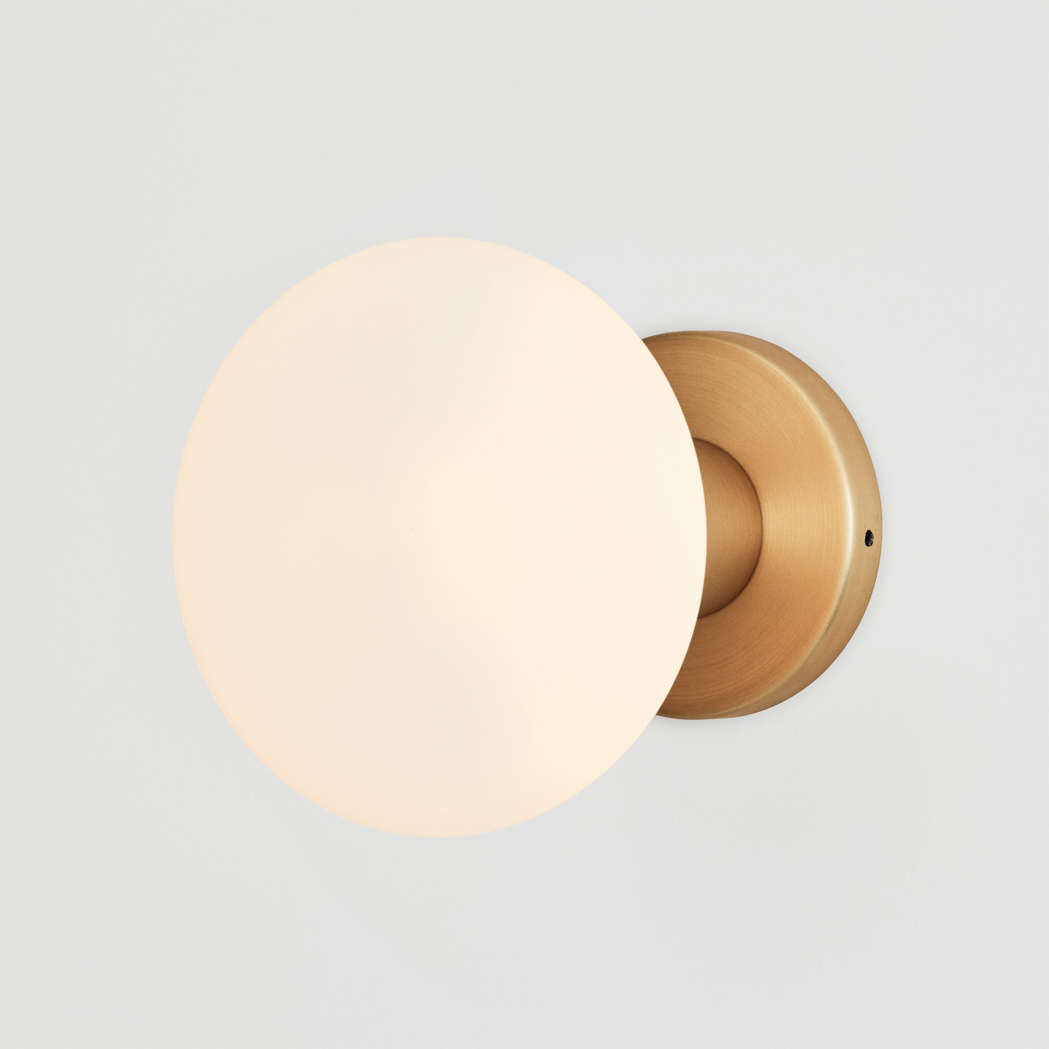 Lochan Wall Light in Brass + Oval - LOCH-BRAS-SET-OVAL-01-US by Tala ...